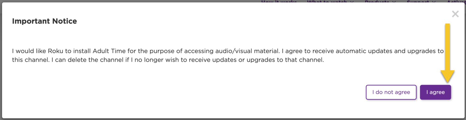 Your New Favorite Adult Roku Channel | Adult Time Roku Channel